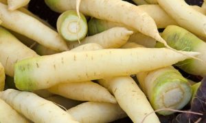 9 Best Substitutes For Parsnips - Filini Chicago